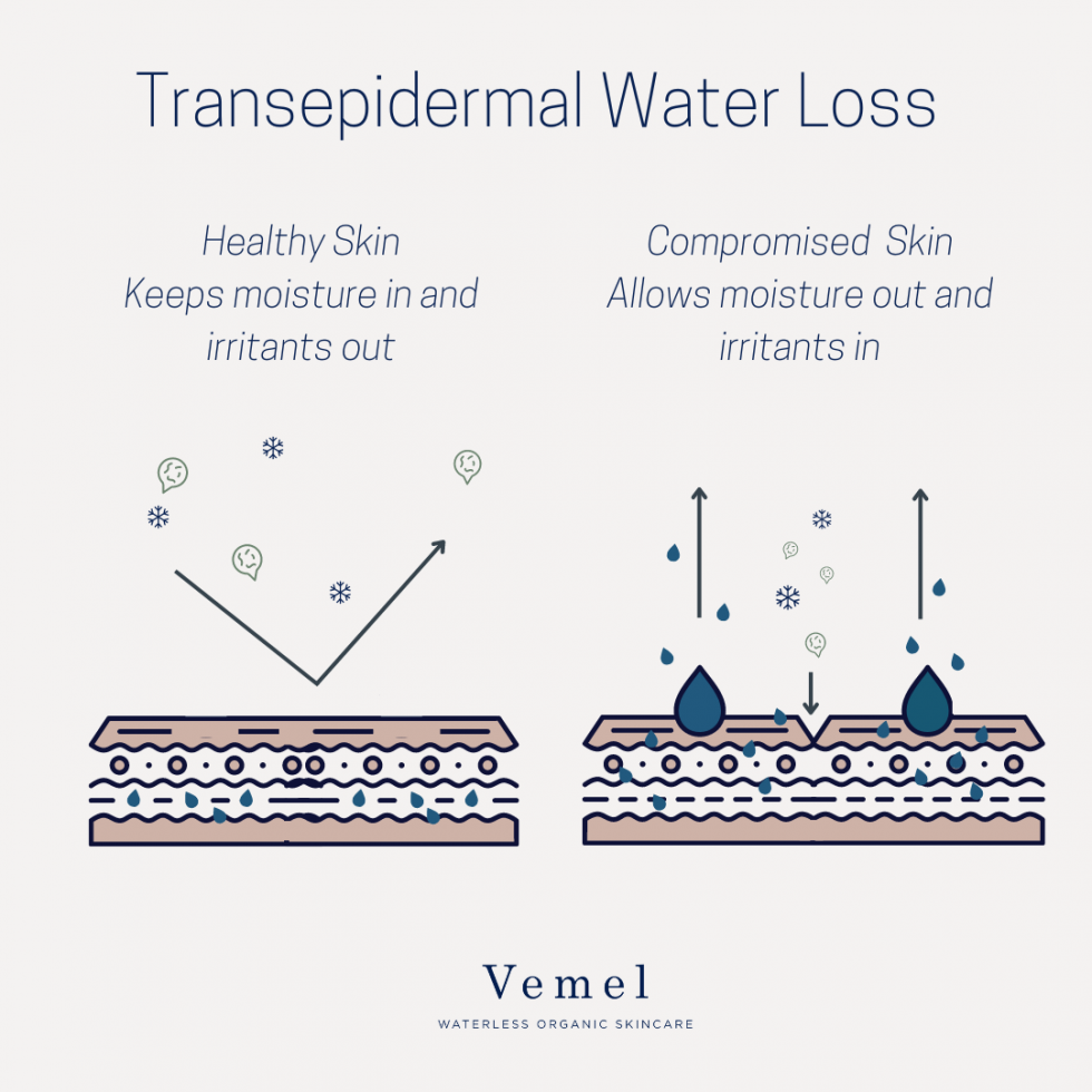 Transepidermal Water Loss - What It Is and How to Stop It - Vemel